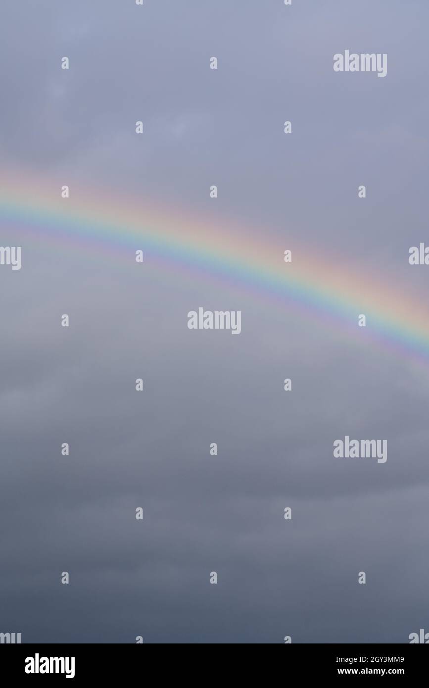 Total front cover hi-res stock photography and images - Alamy