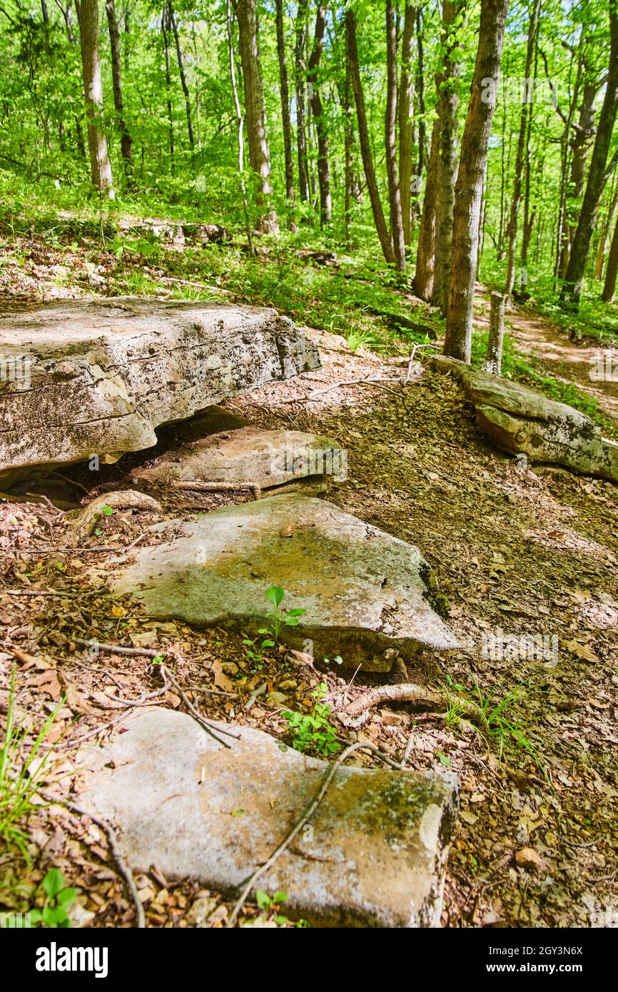 Natural stone bench next to trail in woods Stock Photo - Alamy