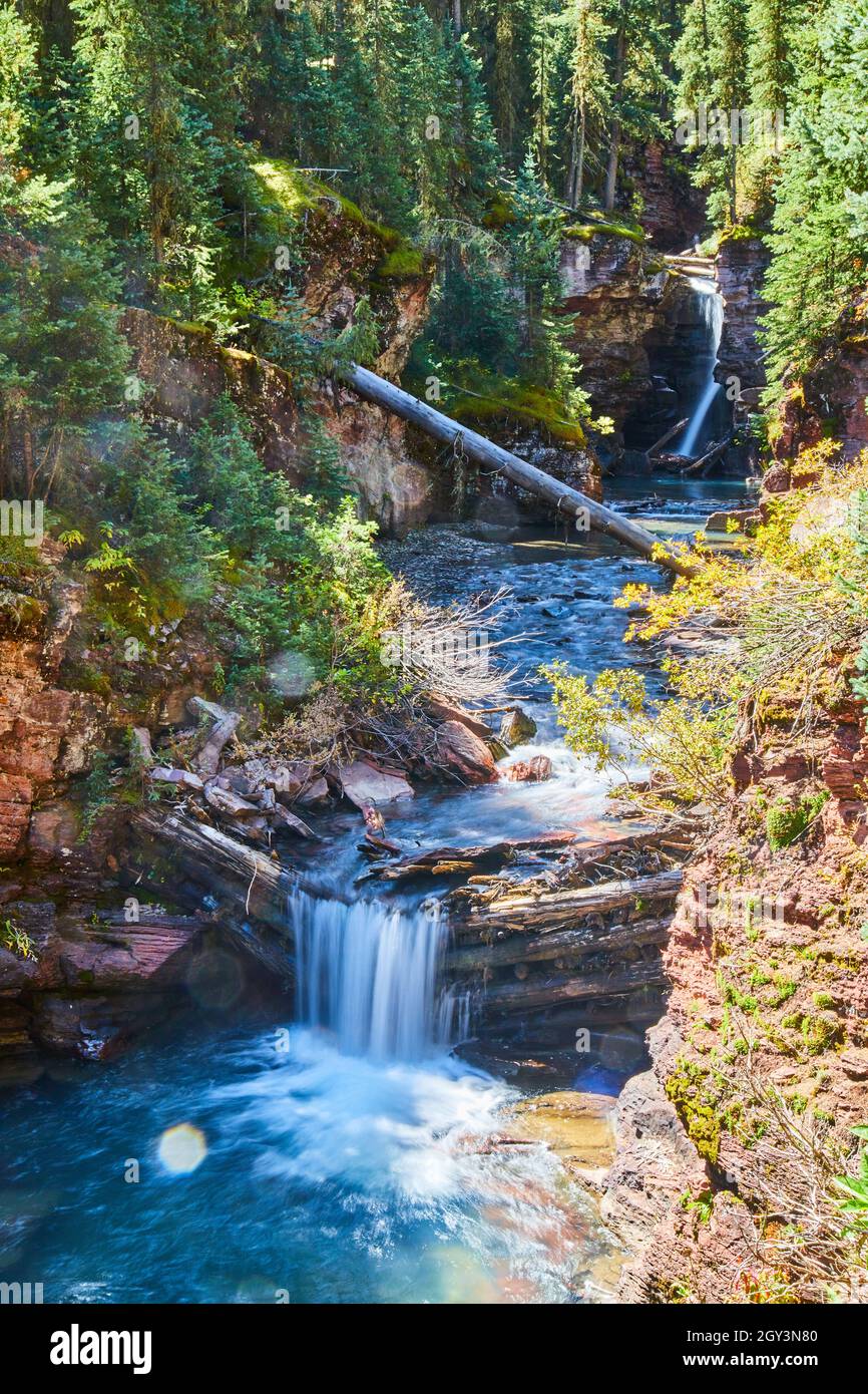 Canyon with flowing waterfalls surrounded by pine trees Stock Photo - Alamy