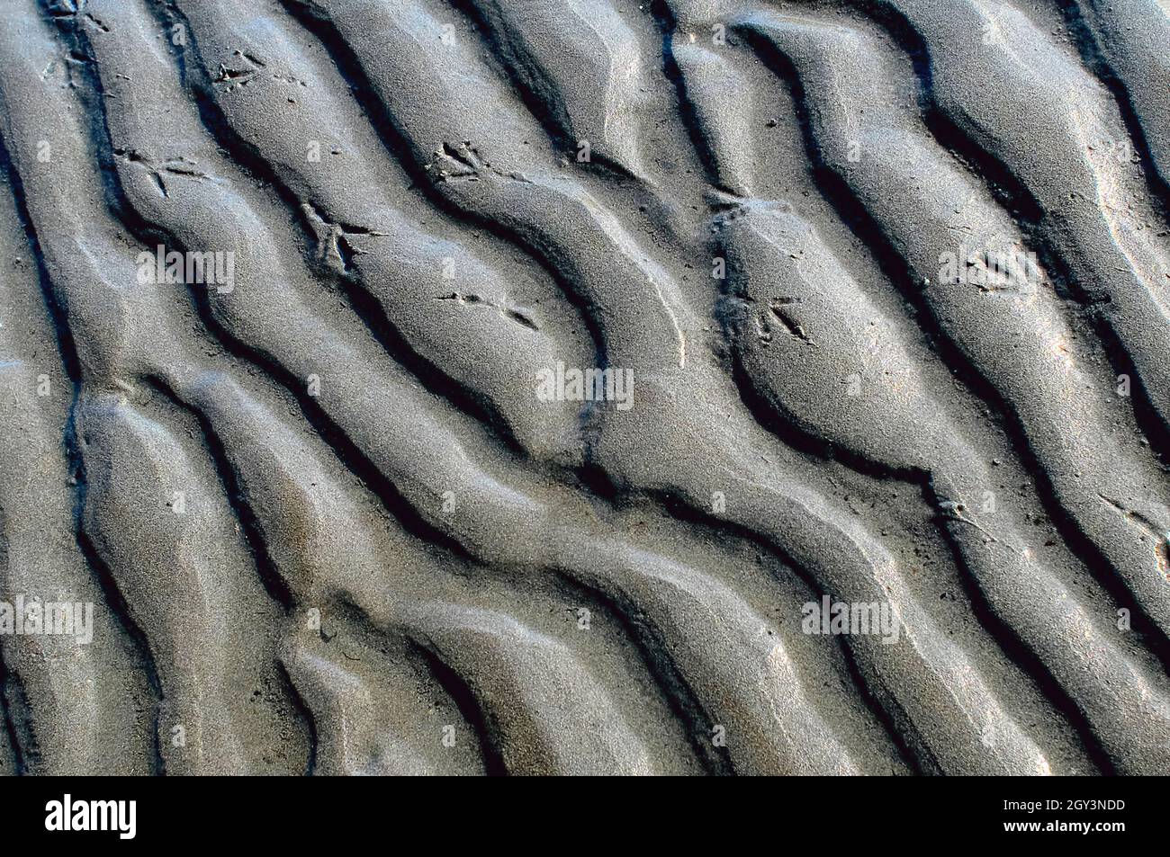 Curved sand ridges hi-res stock photography and images - Alamy