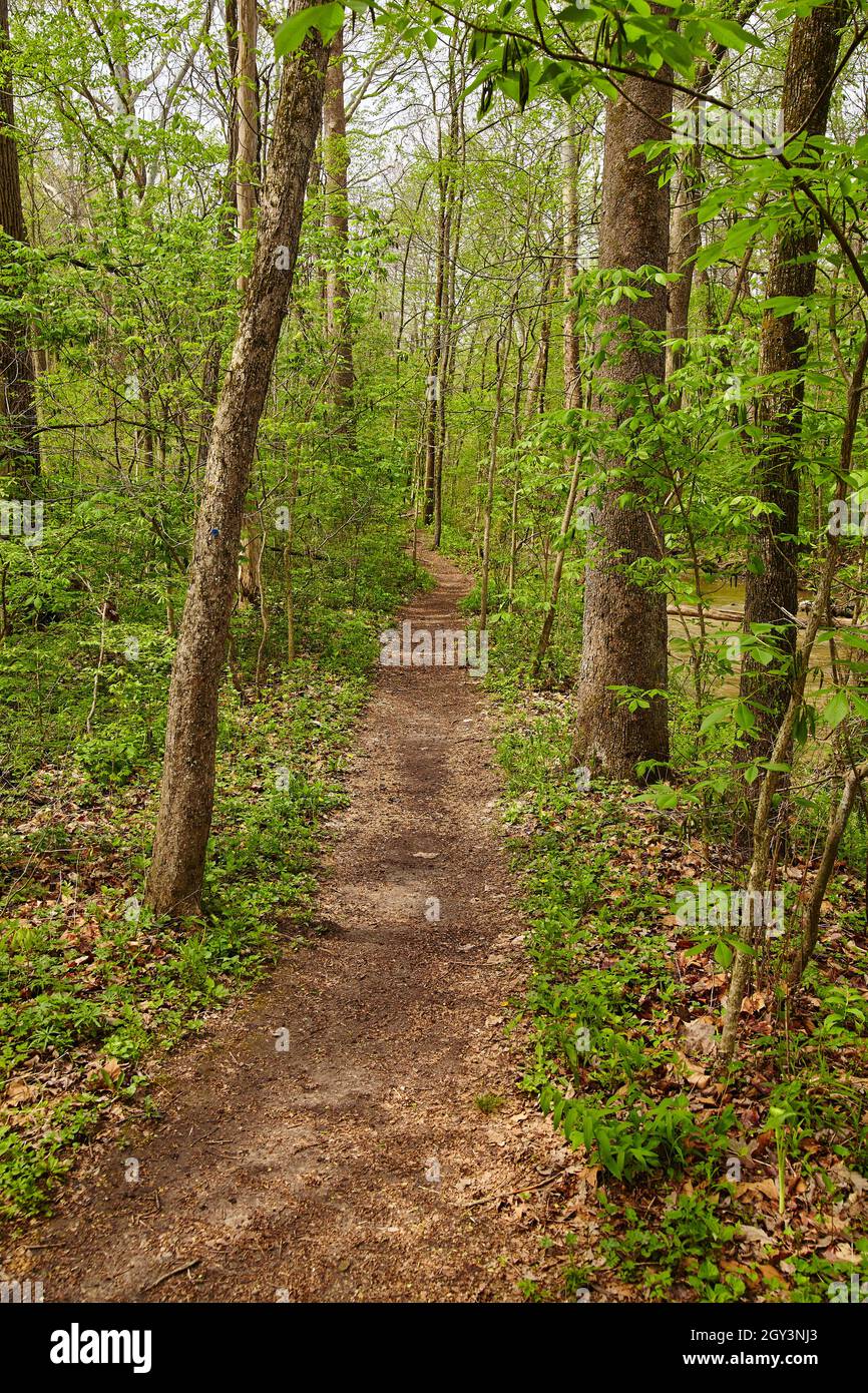 Scenic path cuts through hi-res stock photography and images - Alamy