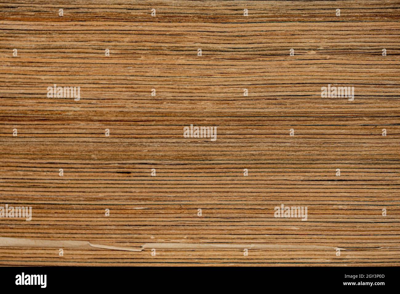 Revival Of Ancient Knowledge High Resolution Stock Photography and ...