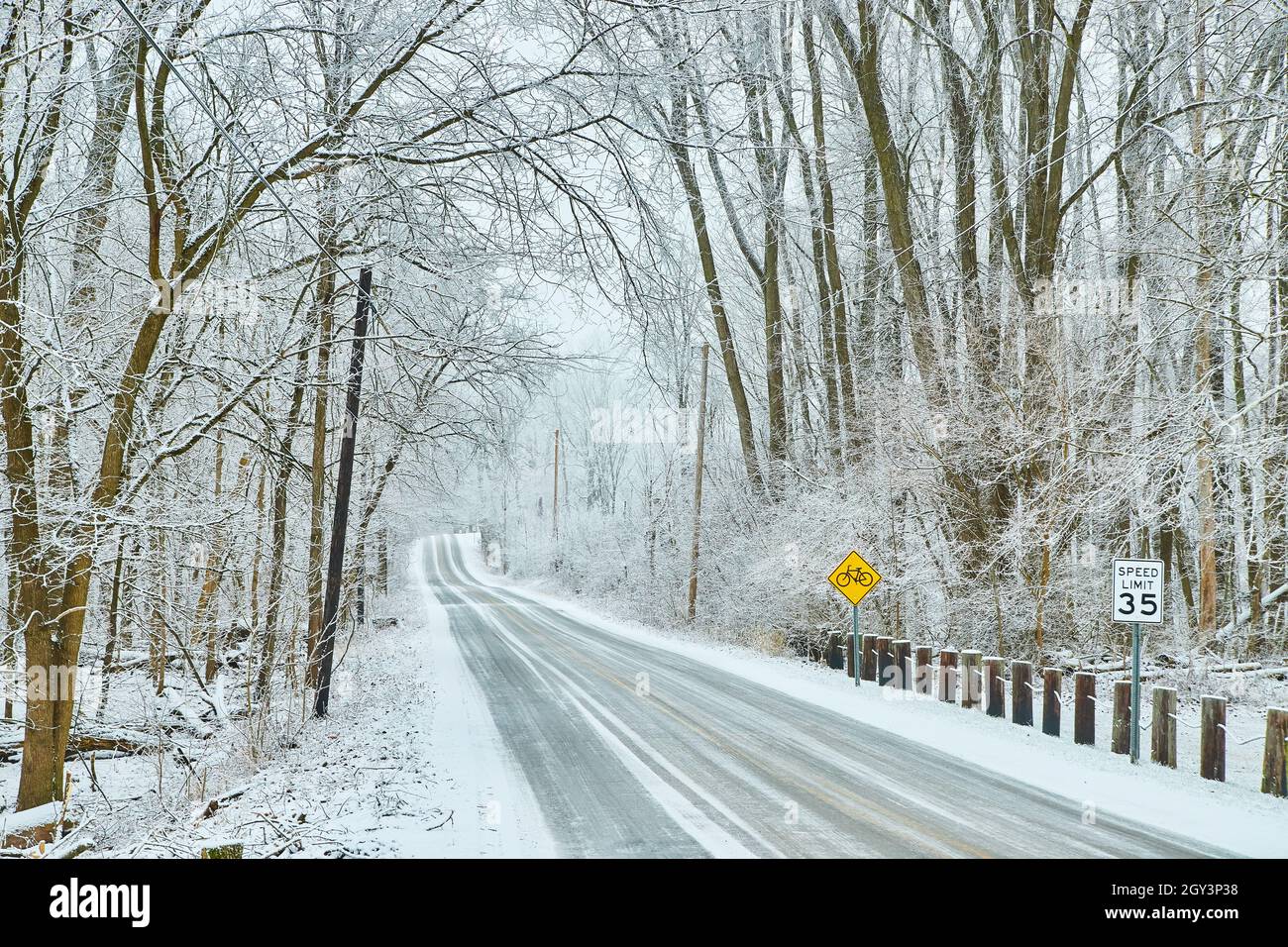 Road through winter road with trees covered in snow Stock Photo - Alamy