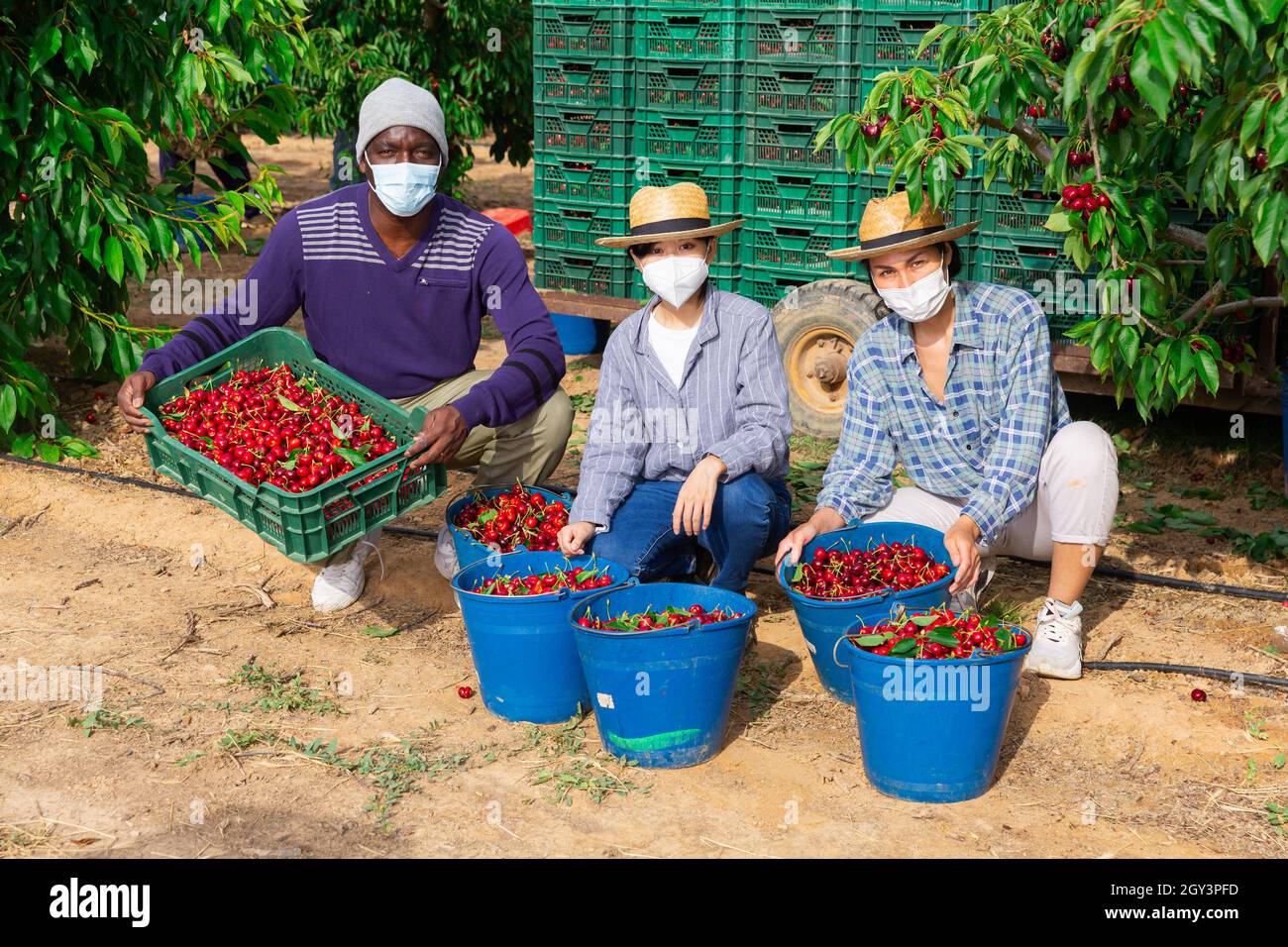 International workers with masks Stock Photo - Alamy