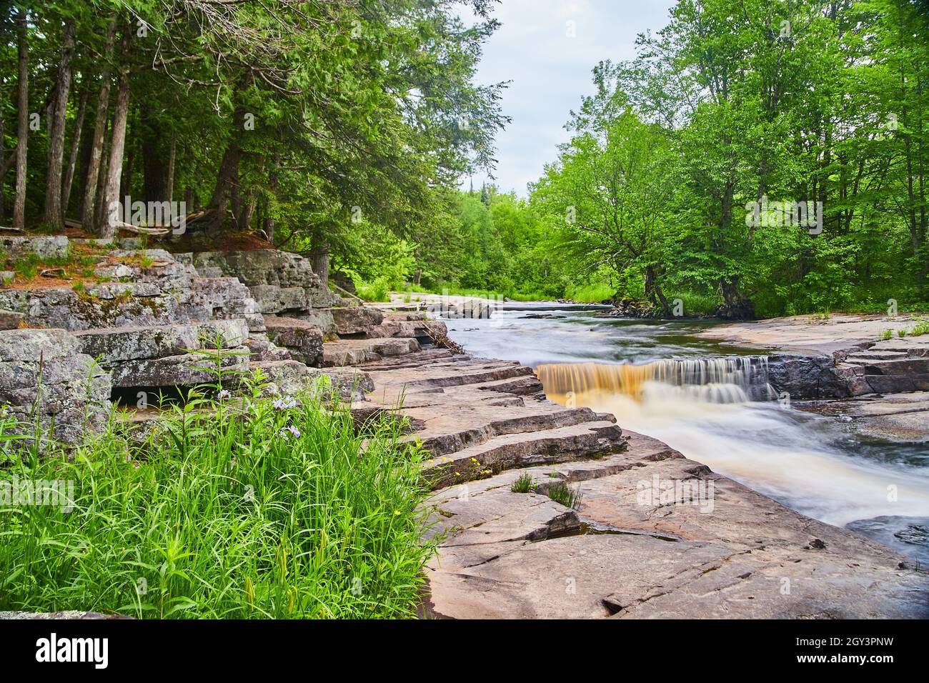 View of small river gorge in forest with waterfall Stock Photo - Alamy