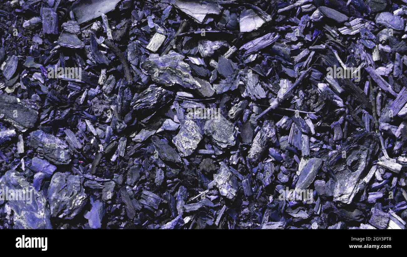 Texture of blue recoloured bark mulch Stock Photo - Alamy