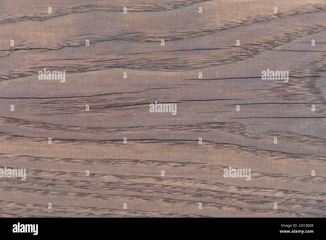 Natural wood structure of thermal ash Stock Photo - Alamy