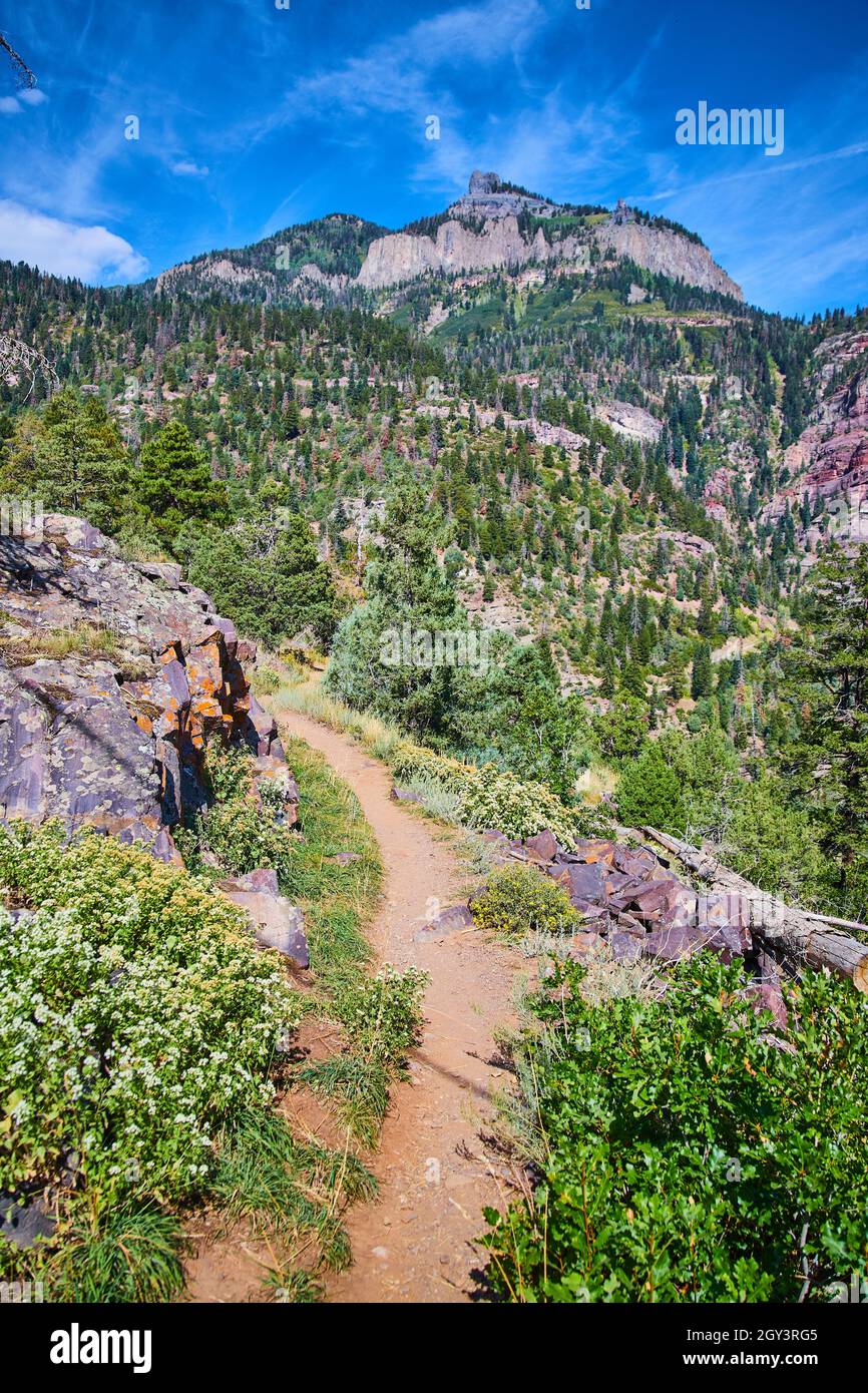 Simple narrow dirt hiking path curving through and towards large rocky ...
