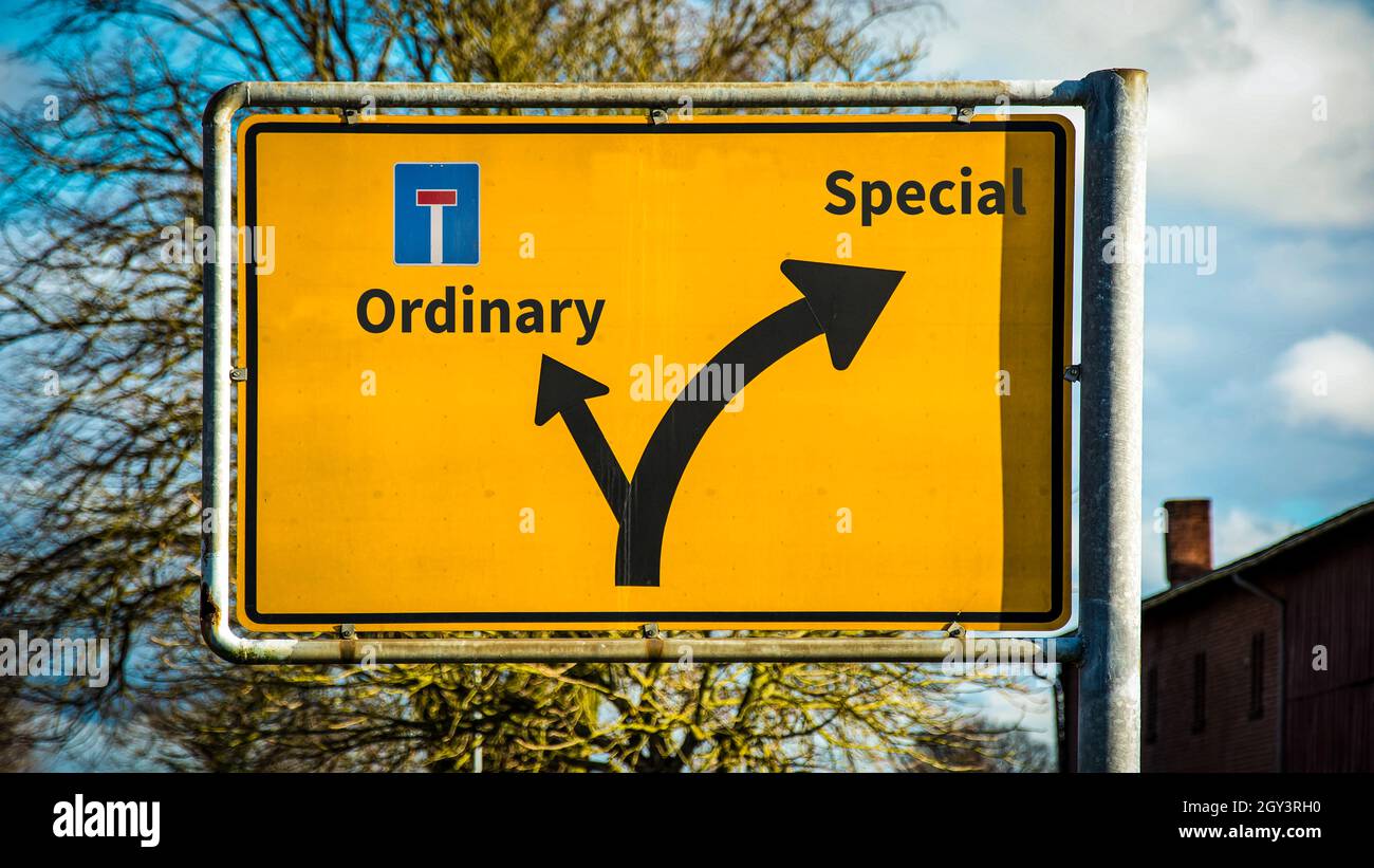 Street Sign the Direction Way to Special versus Ordinary Stock Photo ...