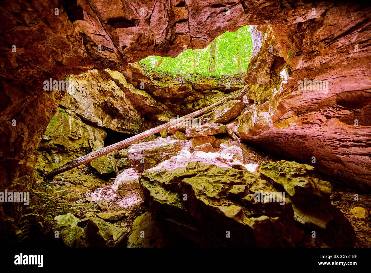 View at cave opening with forest light and large boulders with lone ...