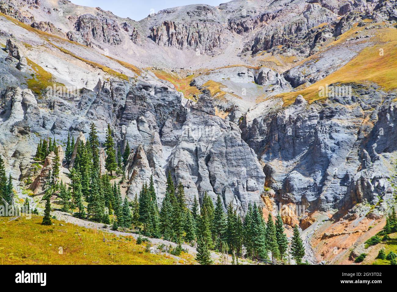 Gray mountain range with columns of rock and pine trees at base Stock ...