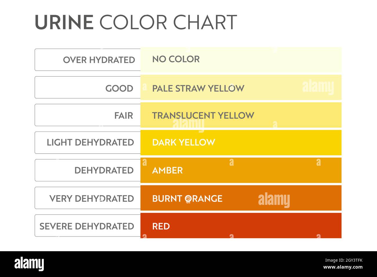 Urine color chart. Pee hydration and dehydration test strip. Vector ...