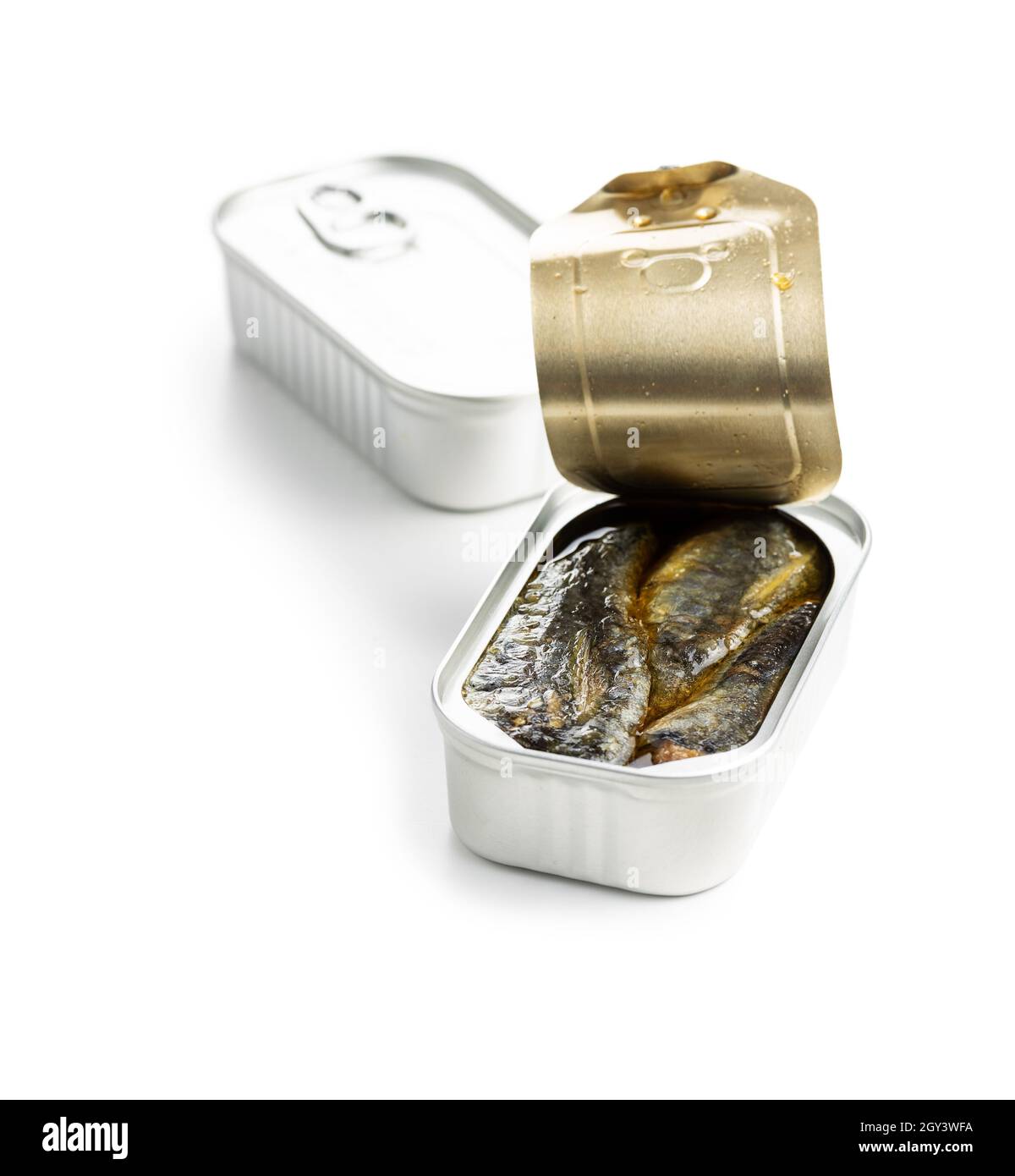 Canned sardines. Sea fish in tin can isolated on white background Stock ...