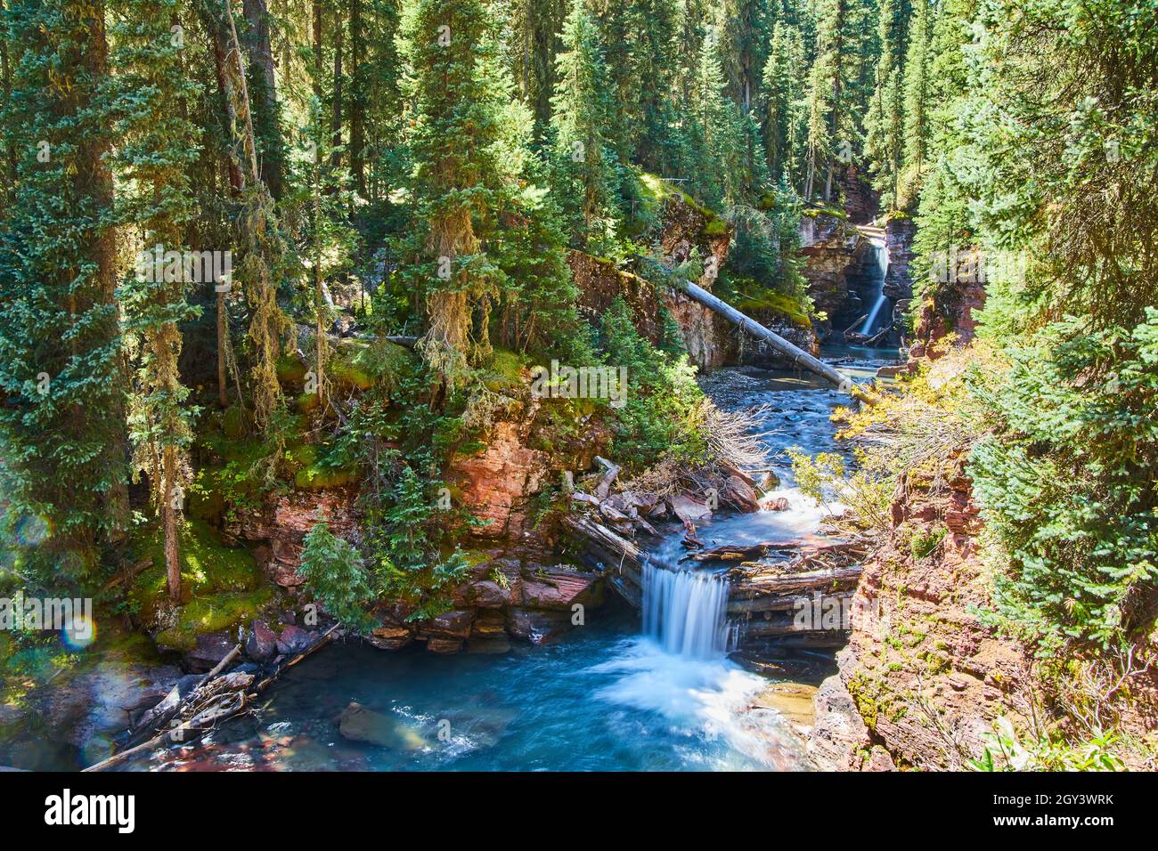 Canyon with waterfalls of blue water surrounded by pine trees Stock ...
