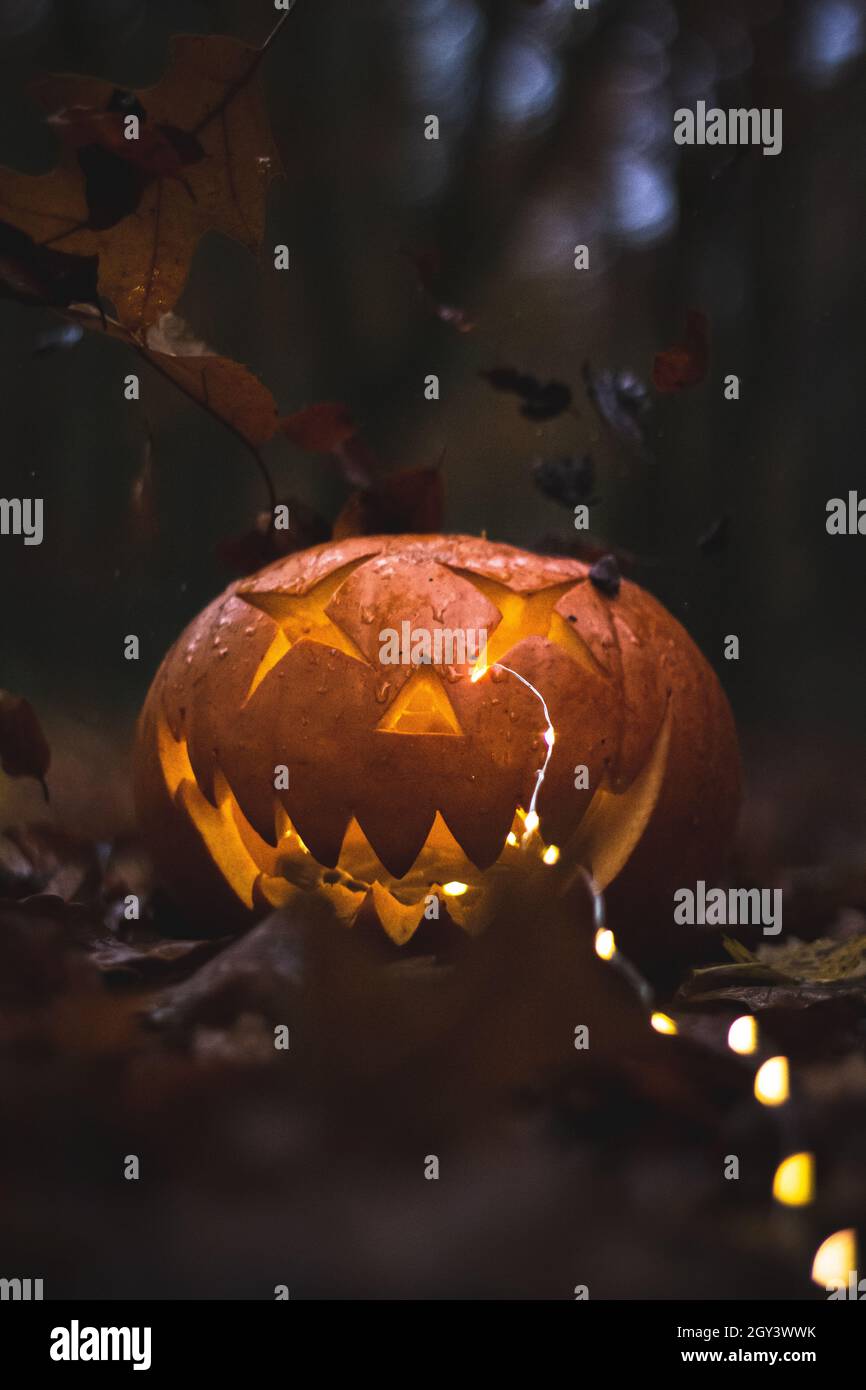 Scary pumpkin face in the dark Stock Photo - Alamy