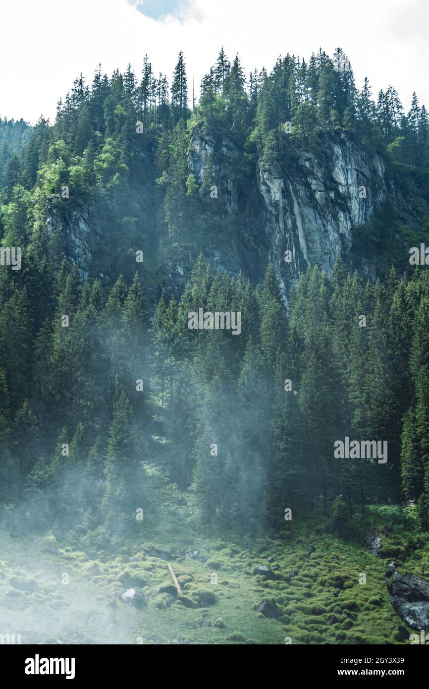 Trees on a high rock Stock Photo - Alamy