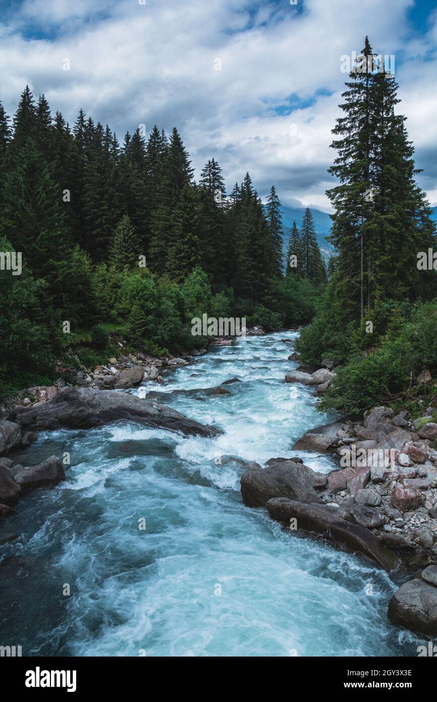 River flowing trough the forest Stock Photo - Alamy