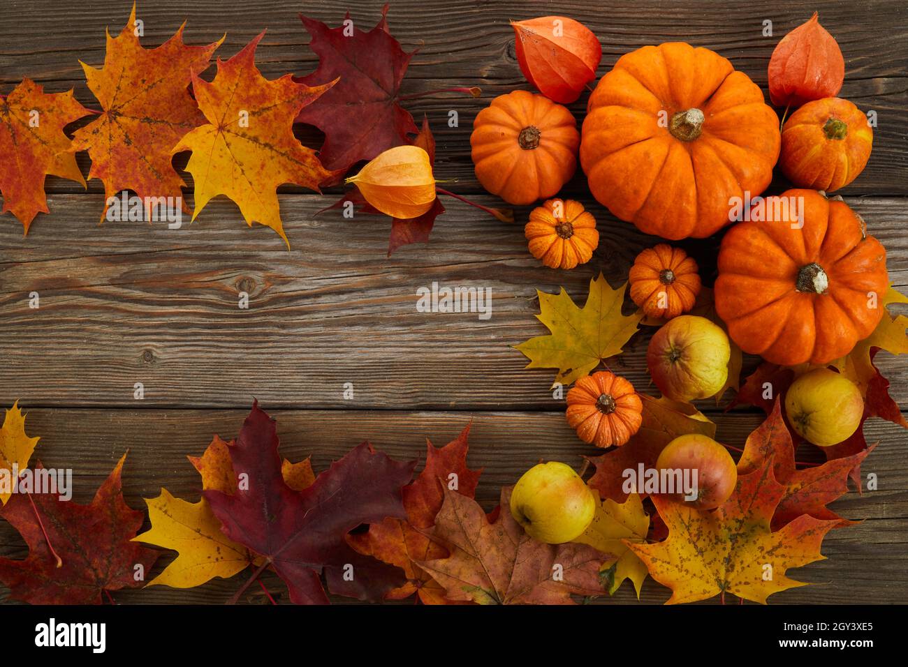 Framework pumpkins fall leaves hi-res stock photography and images - Alamy