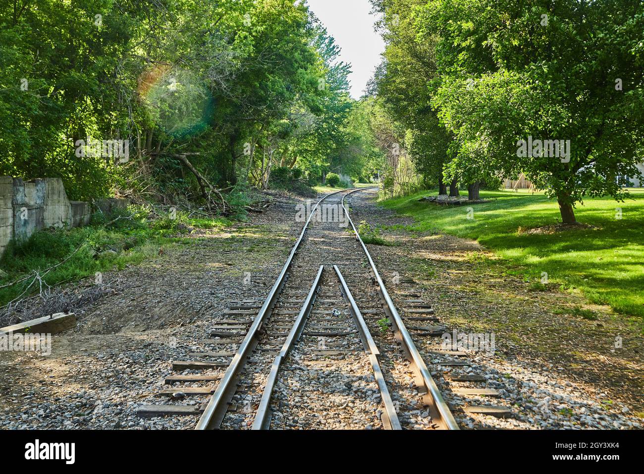 Simple railroad tracks through the woods Stock Photo - Alamy