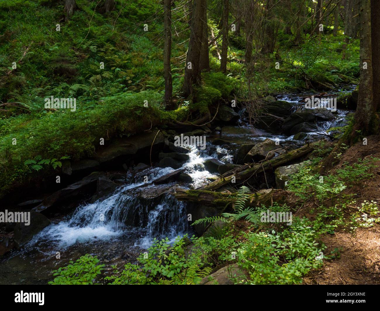 Small river flowing rapidly and vividly through its wild stony valley ...