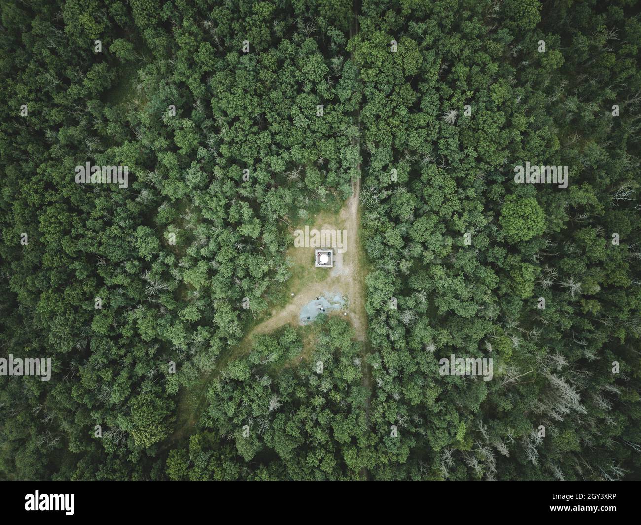 Scenic tower in the woods Stock Photo - Alamy