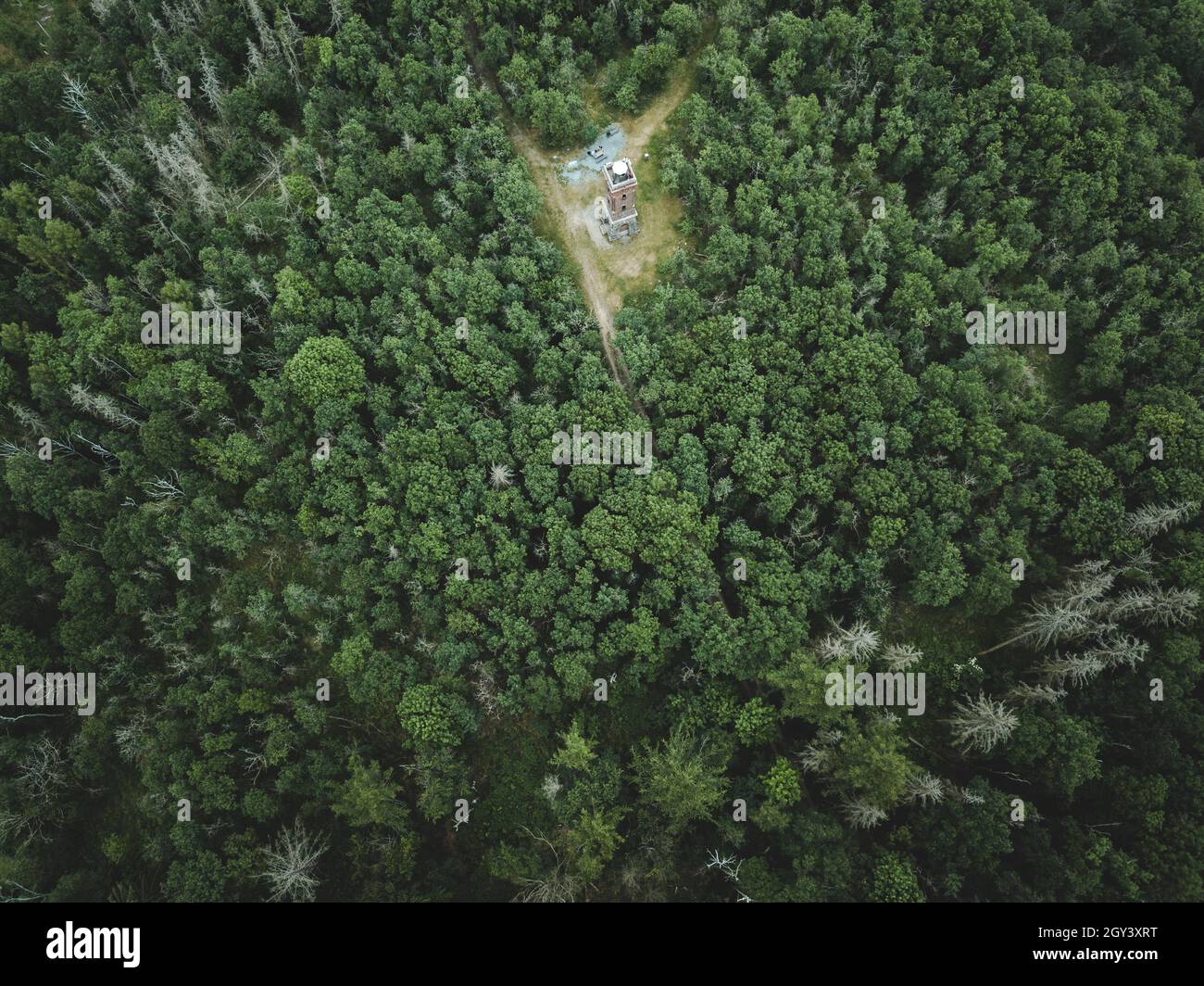 Scenic tower in the woods Stock Photo - Alamy