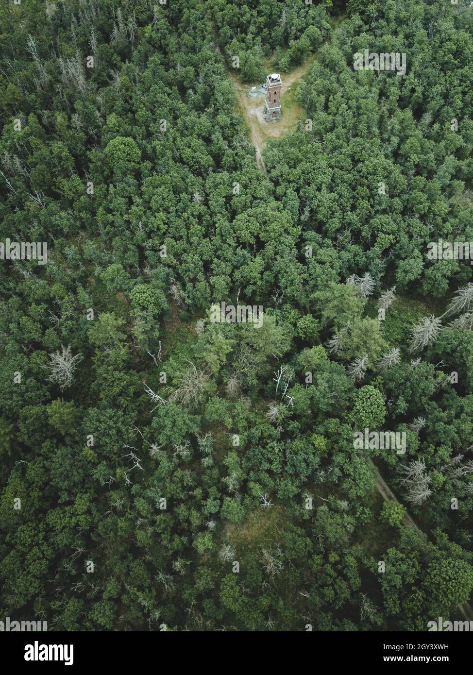 Scenic tower in the woods Stock Photo - Alamy