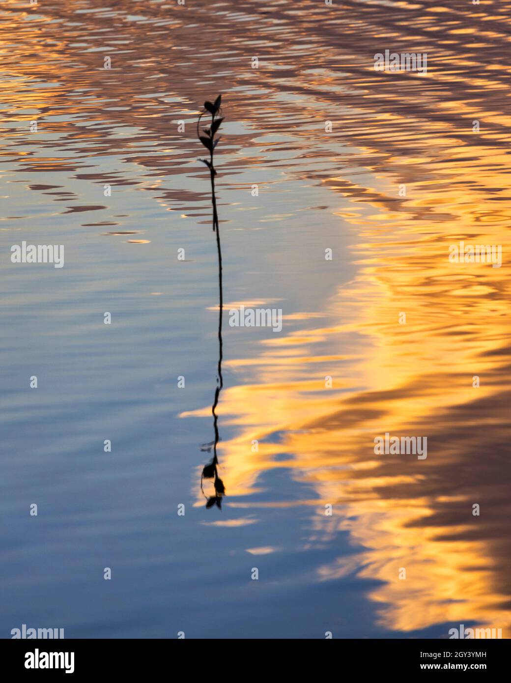 Large evening clouds reflecting hi-res stock photography and images - Alamy