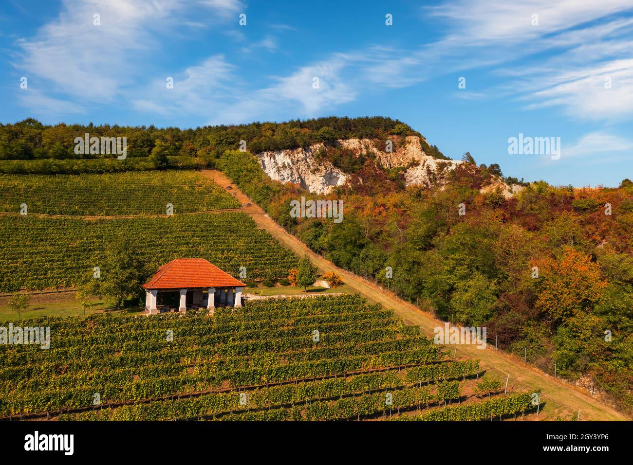 Tokaji landscape hi-res stock photography and images - Alamy
