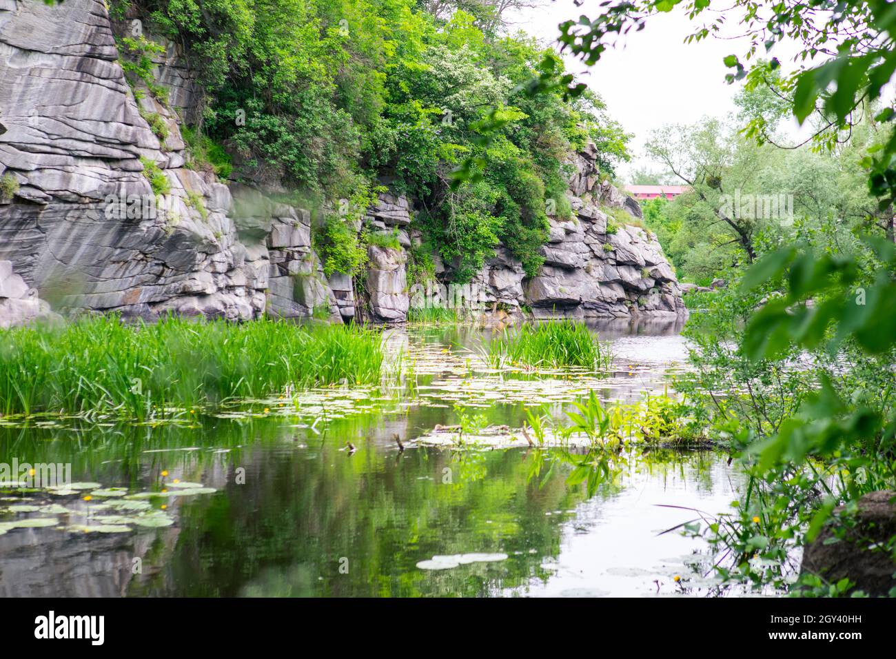 beautiful river landscape summertime copy space wallpaper Stock Photo ...