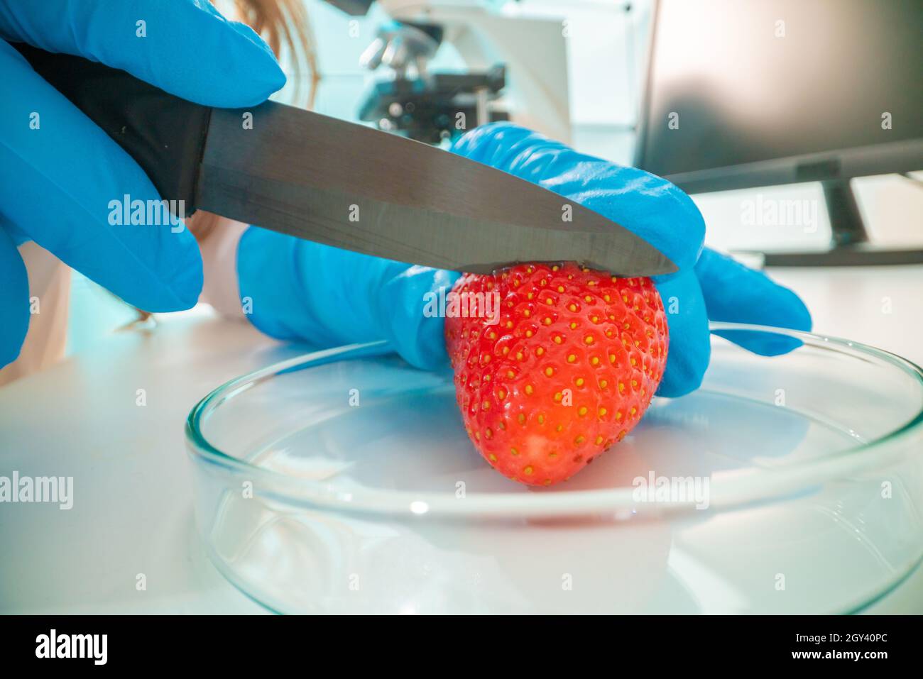 Inspection of the quality of vegetables and fruits in the laboratory of ...