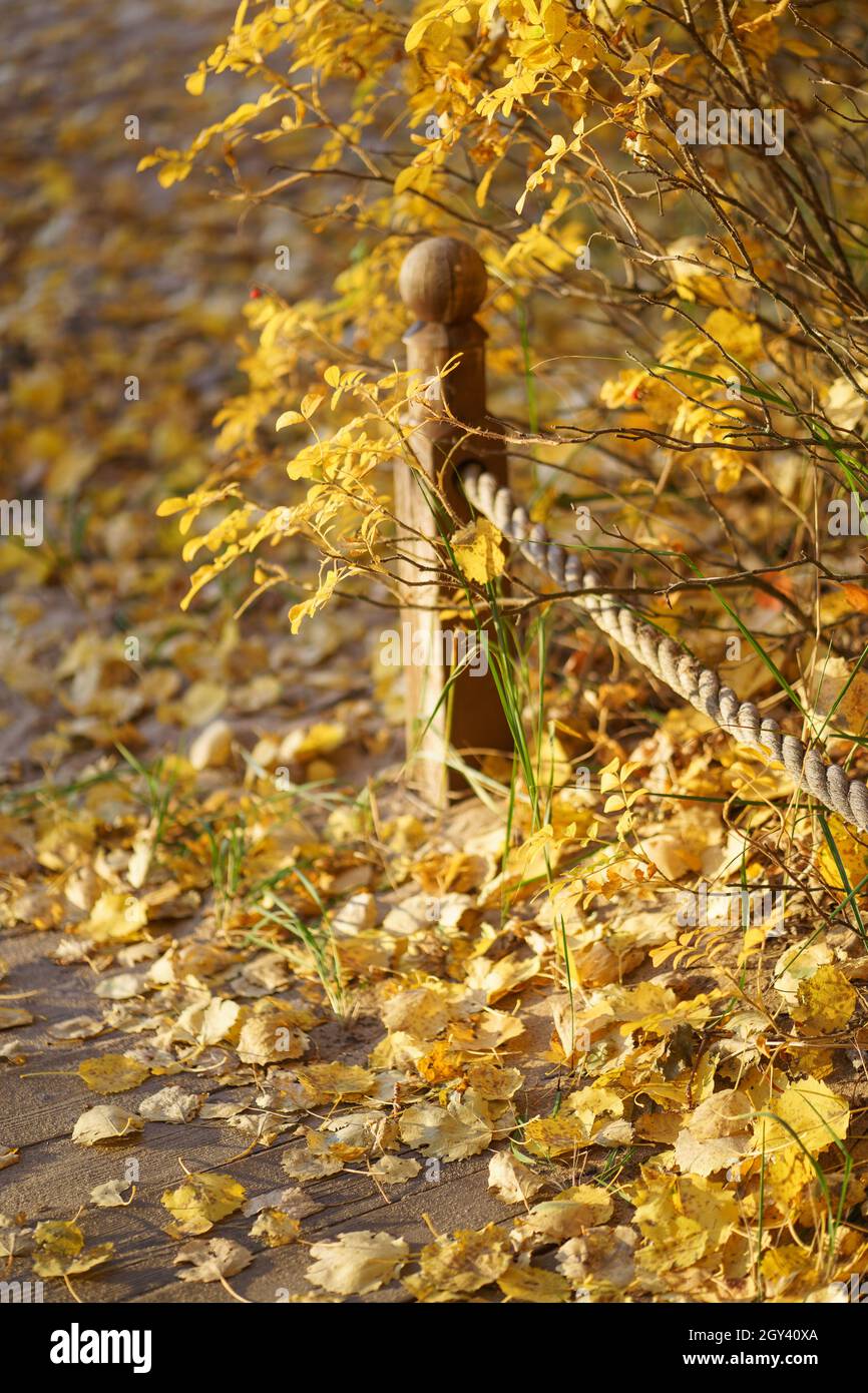 Rope leaves hi-res stock photography and images - Alamy