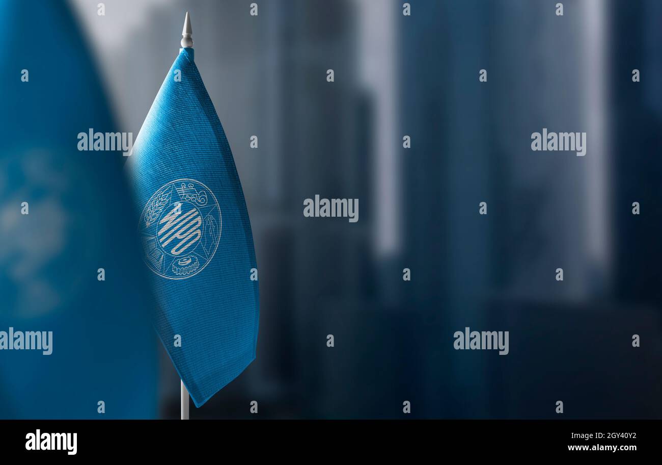 Small flags of International Intellectual Property Organization on a ...