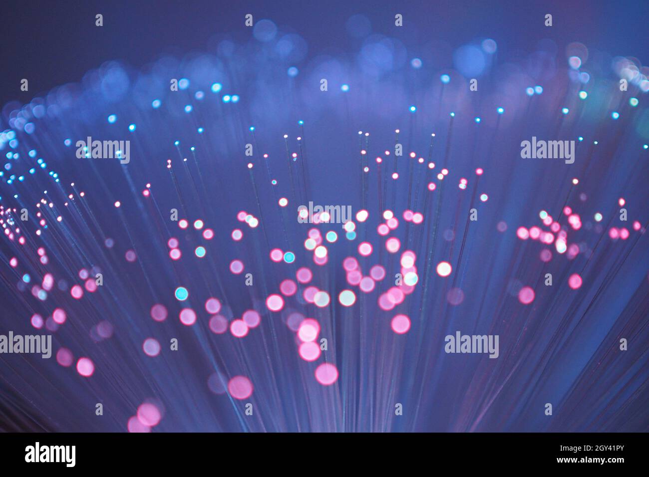 Pink and blue fibre optics Stock Photo - Alamy