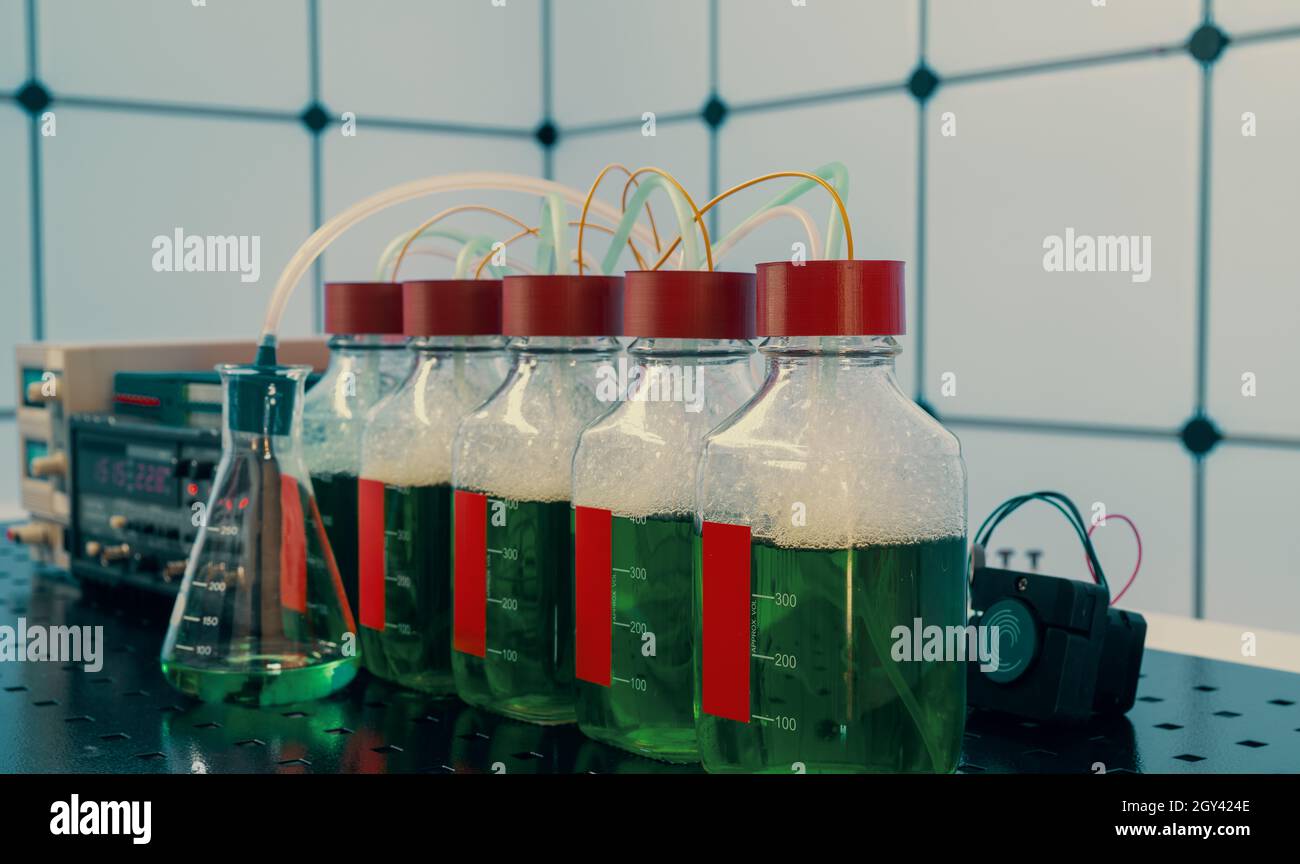 Experiments with obtaining electricity and bacteria processing ...