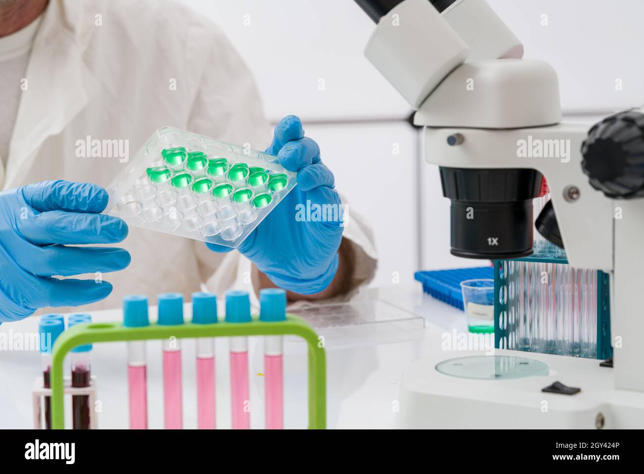 Human heart organ microscope hi-res stock photography and images - Alamy