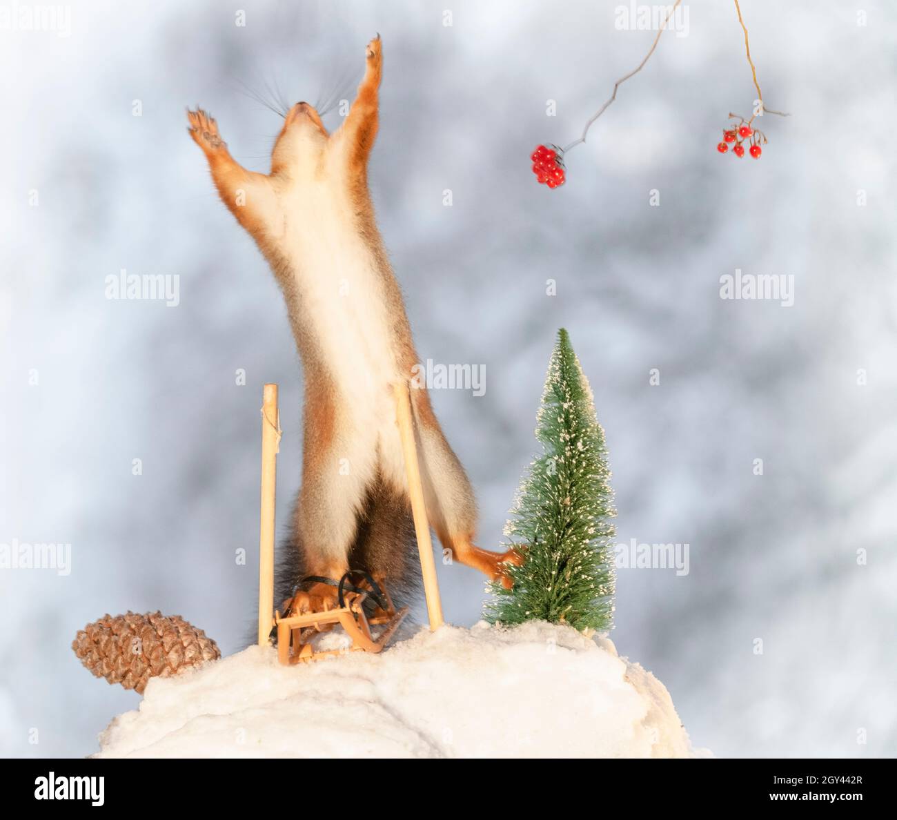 Cheering santa claus hi-res stock photography and images - Alamy