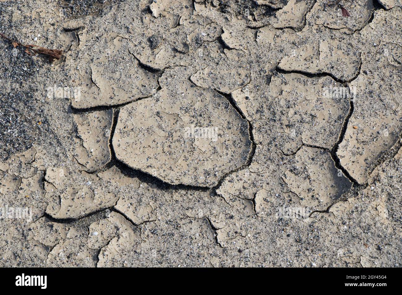 Dry mud background and texture, ground and land Stock Photo - Alamy