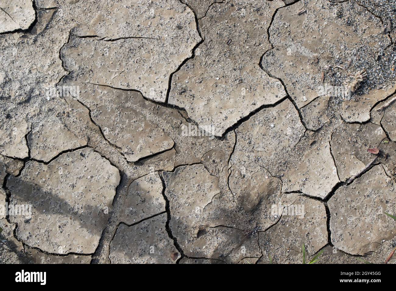 Dry mud background and texture, ground and land Stock Photo - Alamy