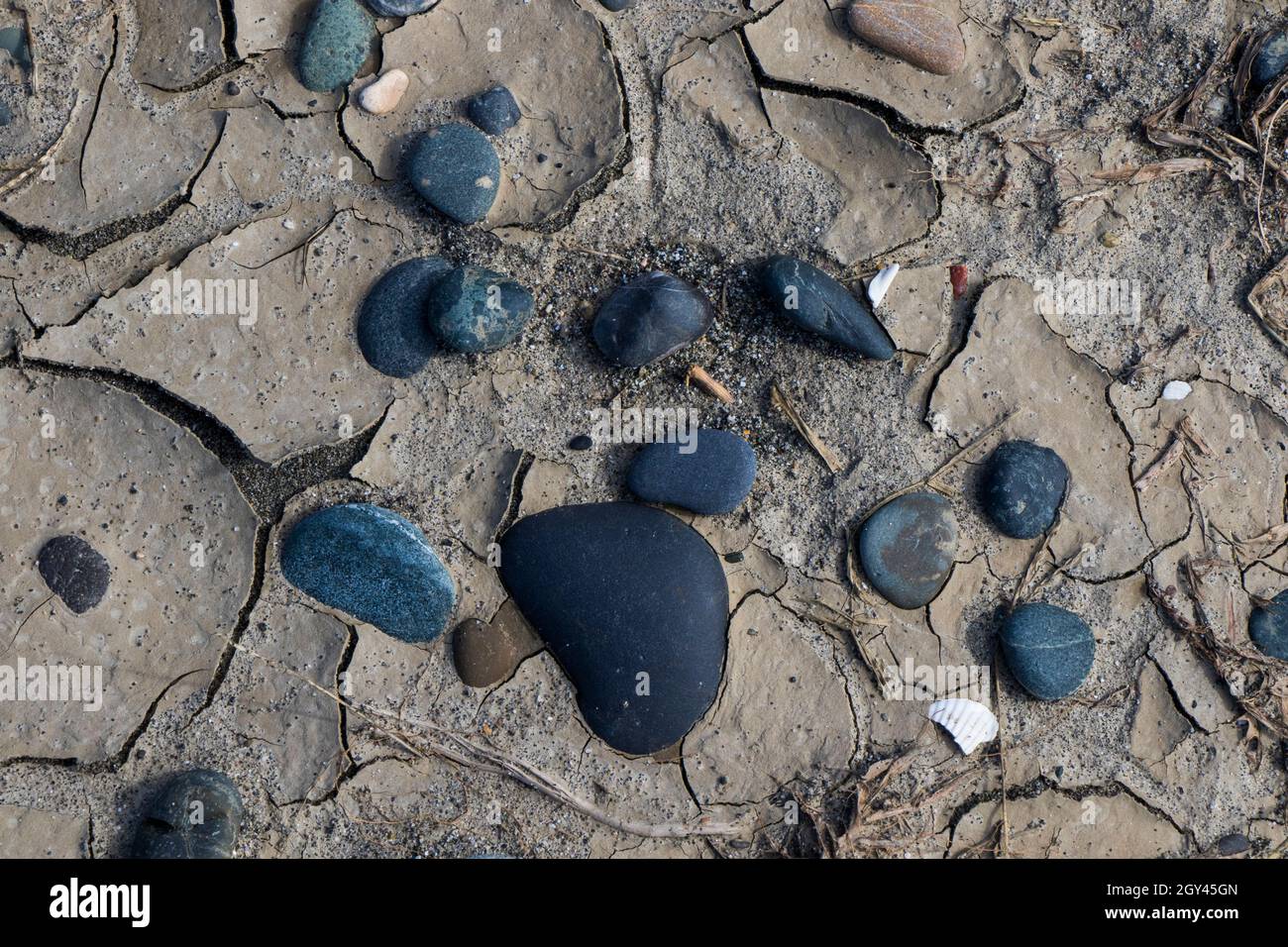 Dry mud background and texture, ground and land Stock Photo - Alamy