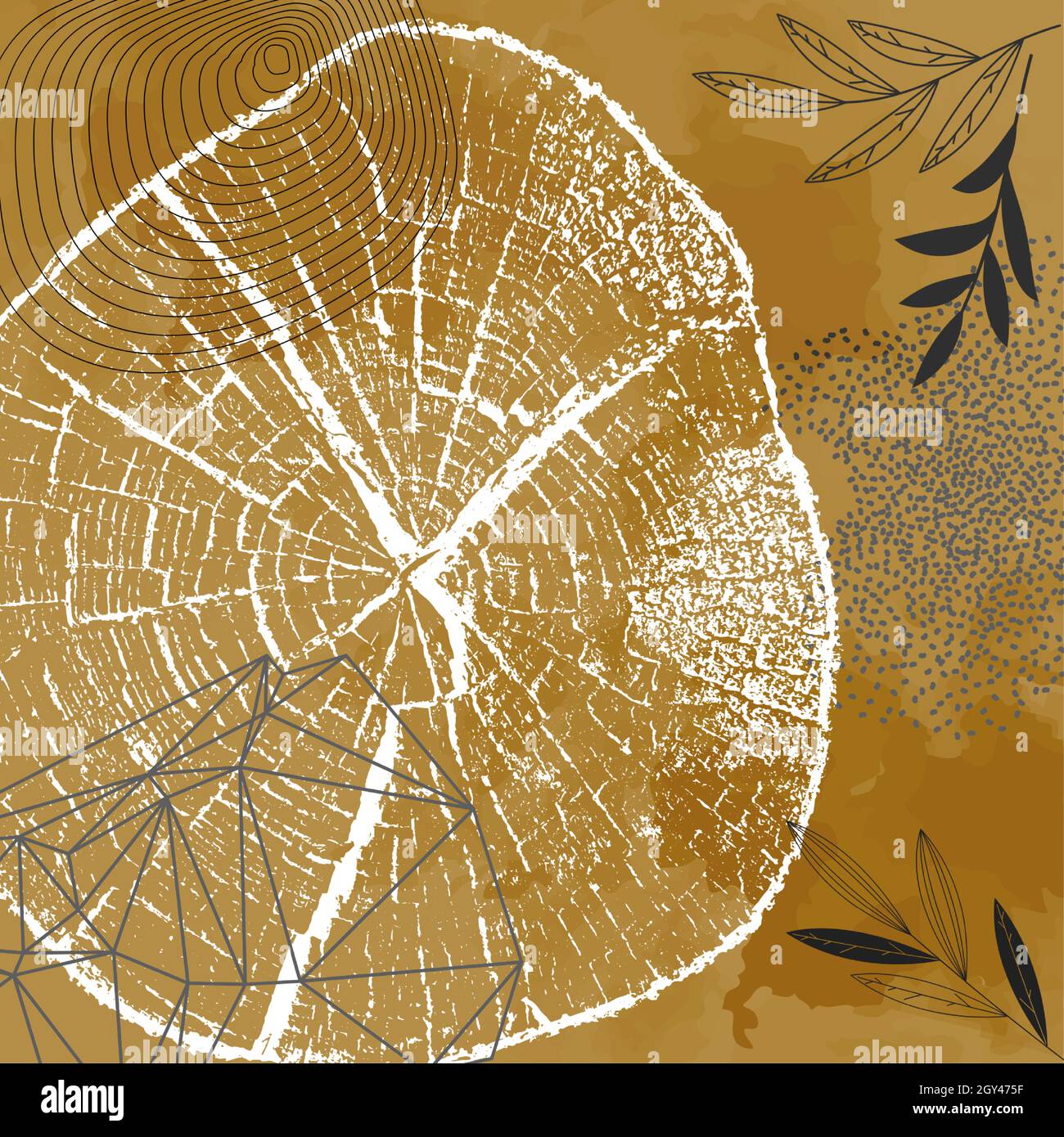 Creative concept flyer layout with tree growth rings Stock Vector Image ...