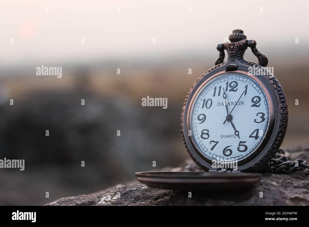 Stunning Vector Pocket Watch Photographs