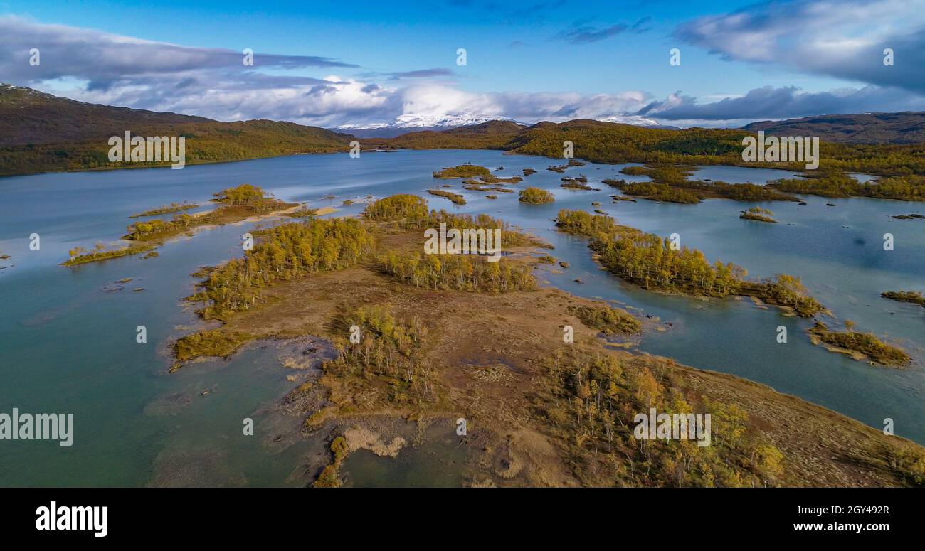 Small islands on a lake and swamp Stock Photo - Alamy