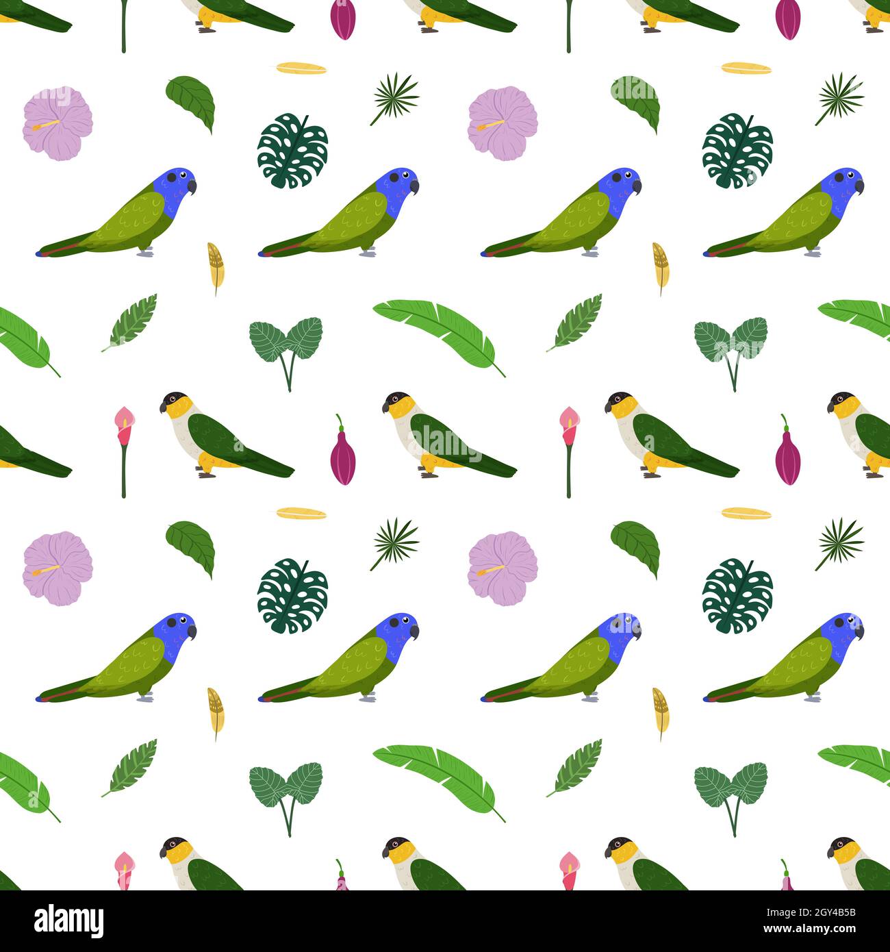 Seamless pattern with parrots pionus, black headed, tropical leaves and ...