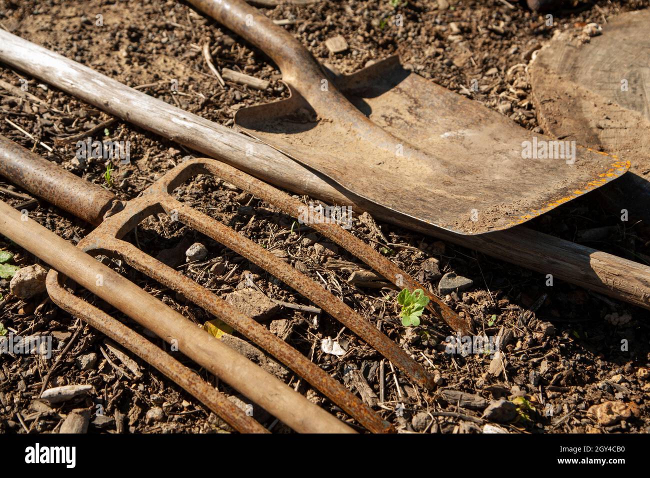 Rusted garden tools on soil Stock Photo - Alamy