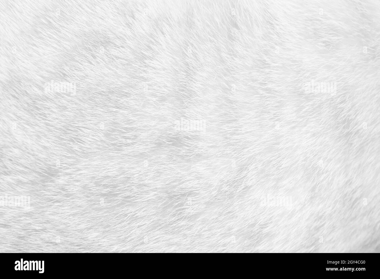Soft cat fur texture Black and White Stock Photos & Images - Alamy