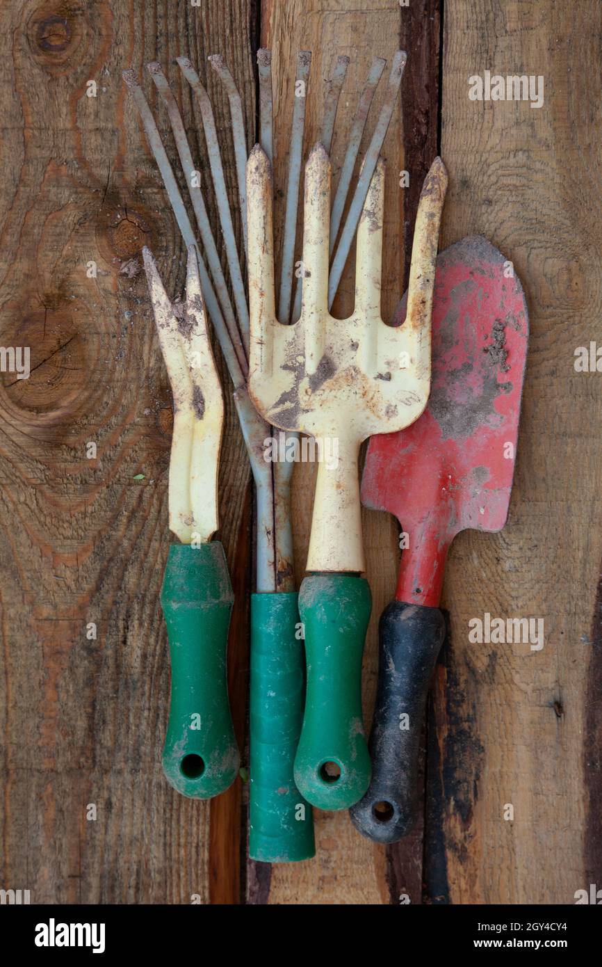 A collection of gardening tools on a wood background Stock Photo - Alamy