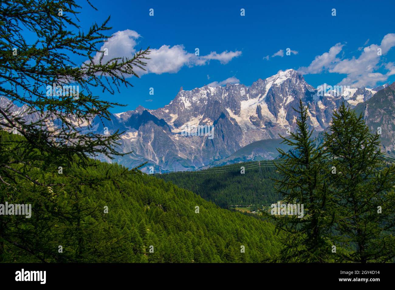 Green landscape of the Alps in Italy Stock Photo - Alamy