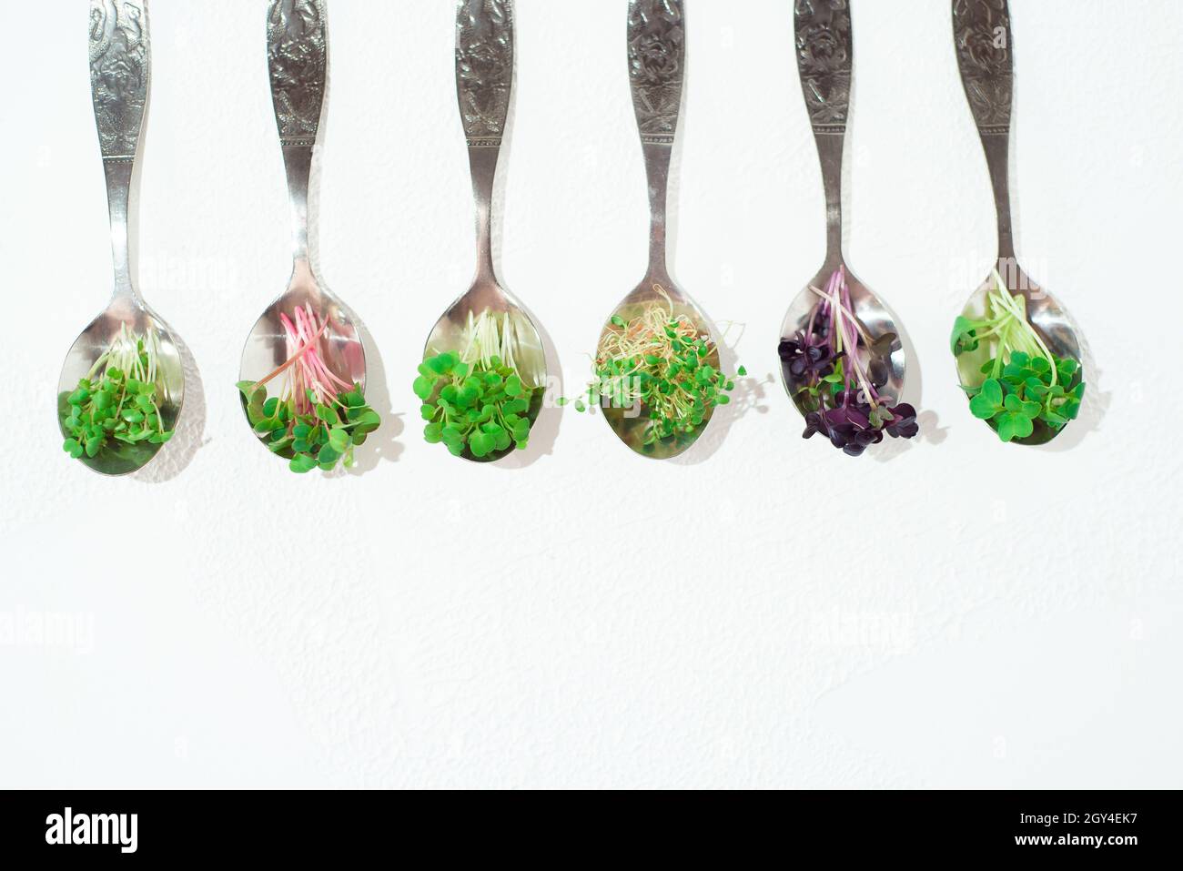 Collage of different microgreens on a white background Stock Photo - Alamy