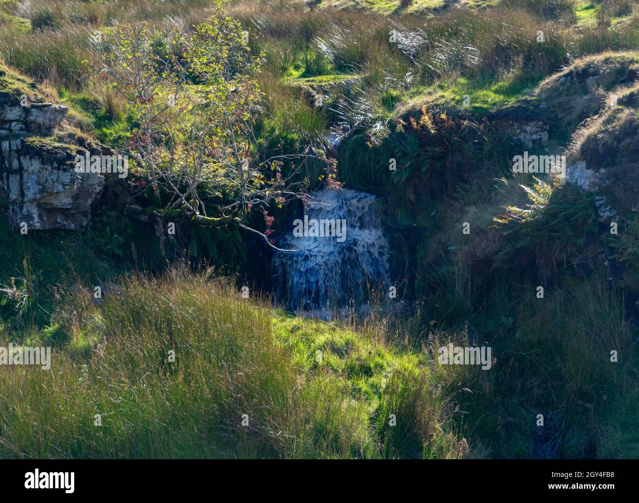 small waterfall on a moorland stream, Northumberland, UK Stock Photo ...